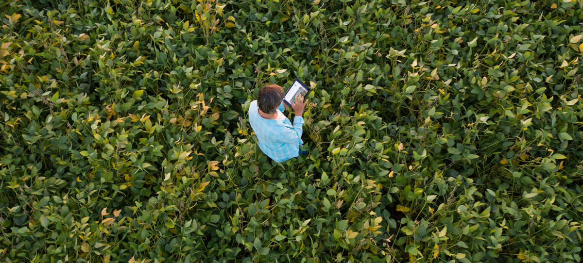 New study spotlights soy’s economic impact – Minnesota Soybean